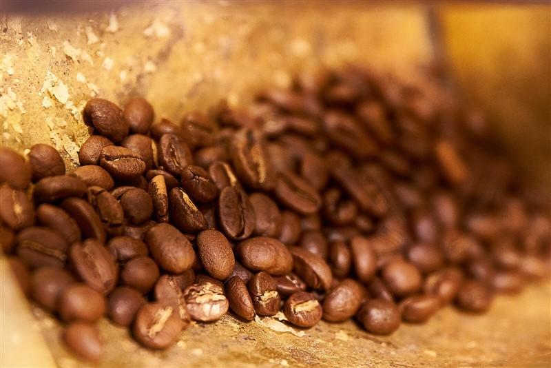 Vegan leather made from coffee | Motor Equipment News